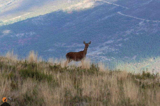 Discovering Nature in Serra da Lousã - The Sum Up