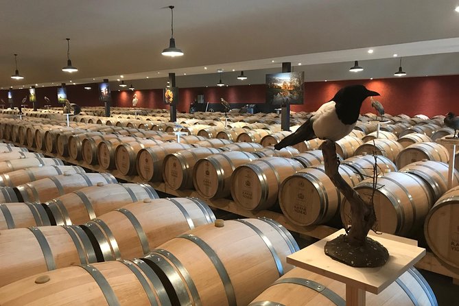 Discovery of the vineyards and castles of Sauternes by bike - FAQ