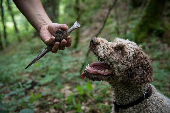 Discovery of the world of Truffles and tasting - The Itinerary: What to Expect
