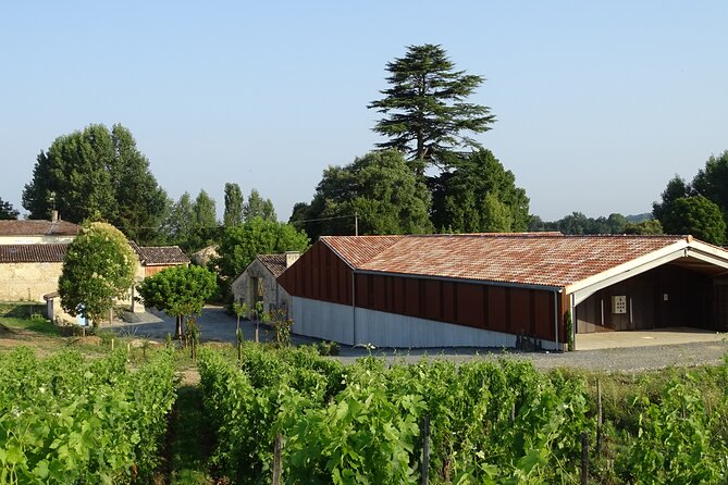 Discovery visit of Château Rol Valentin with tasting - The Sum Up