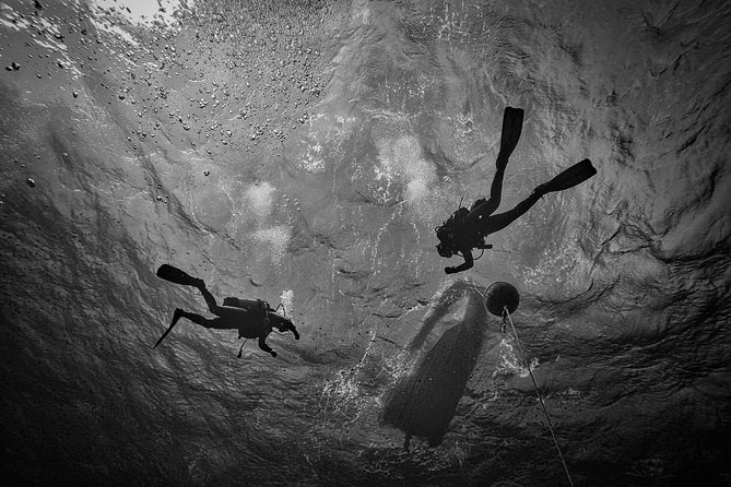 Diving baptism with cylinders (Introdive) at the Capo Carbonara Marine Protected Area - Final Thoughts: Who Should Consider This?
