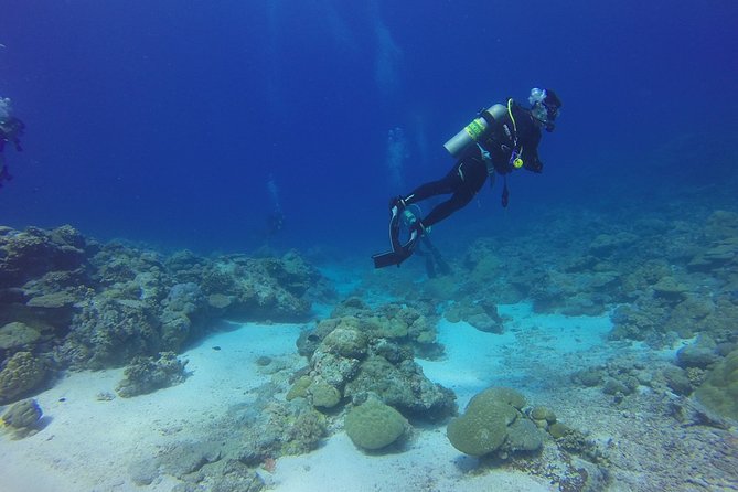 Diving Baptism - Meeting Points and Practical Details