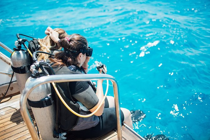 Diving in the Mediterranean sea - The Itinerary: What to Expect