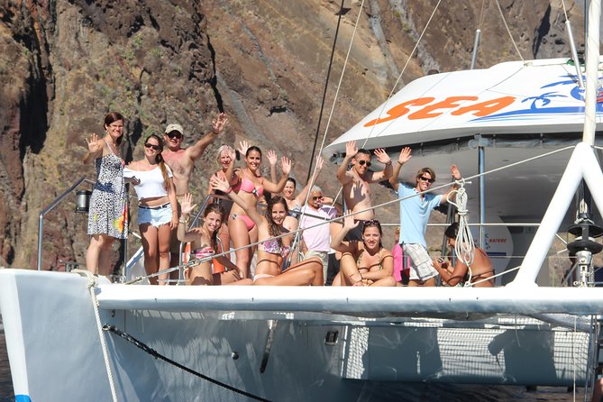 Dolphin and Whale Watching Catamaran Cruise from Funchal - Authentic Experiences from Past Travelers