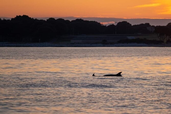 Dolphin & Sunset tour with Brijuni panorama - FAQs