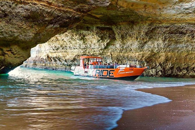 Dolphin Watching and Caves Cruise - Who Should Consider This Tour?
