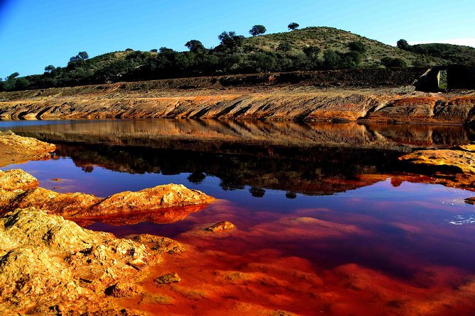 Doñana Natural Park Full-Day Tour from Seville - FAQs