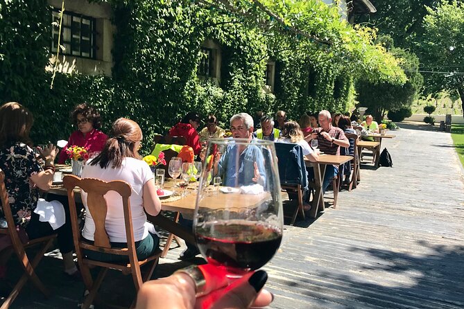 Douro: luxury walking tour with full lunch at Quinta da Pacheca - Practical Details: What To Expect