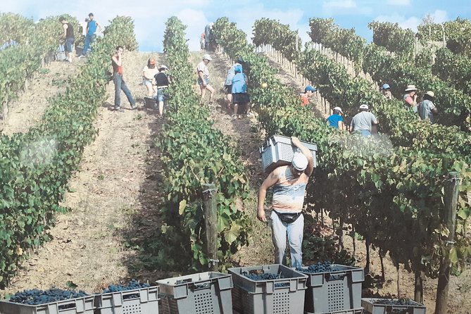 Douro Valley Premium with wine tasting lunch and boat - Final Thoughts