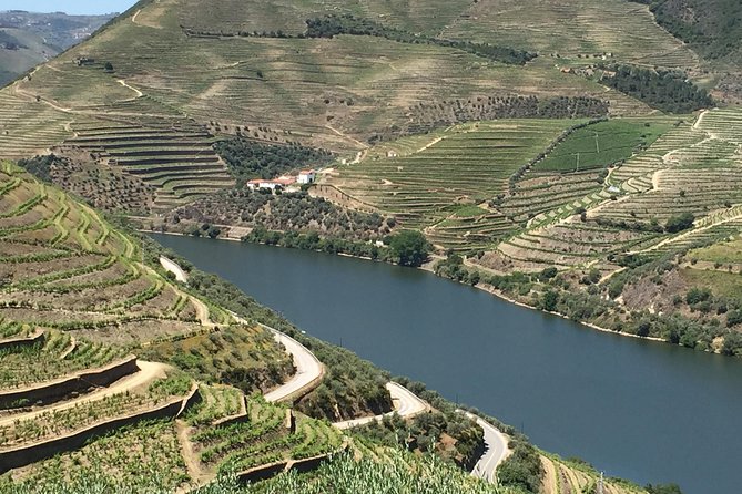 Douro Valley Private Tour from Oporto - Visiting a Historic Vineyard: Quinta do Tedo