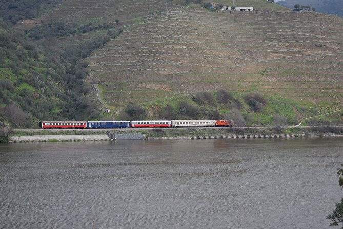 Douro Valley Tour with Train and Vinho Verde