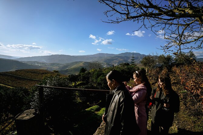 DOURO VALLEY: Visit Small local wineries, lunch & an 1h-boat Tour - Final Thoughts