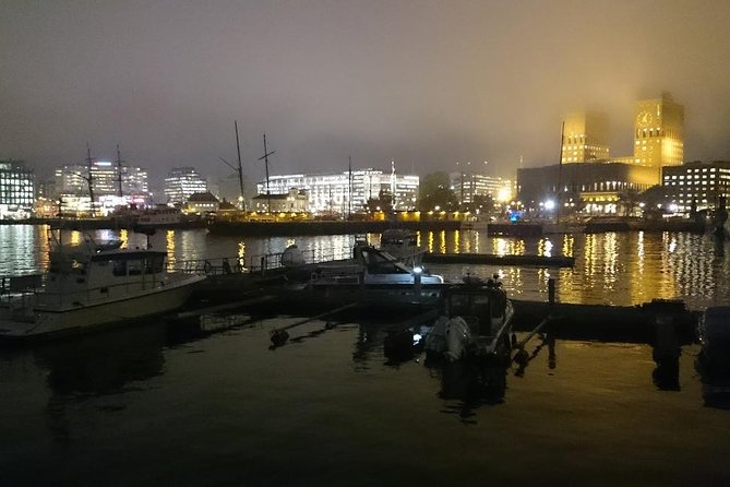 Downtown Oslo: Self-Guided Highlights and History Audio Tour - Authentic Insights from Travelers