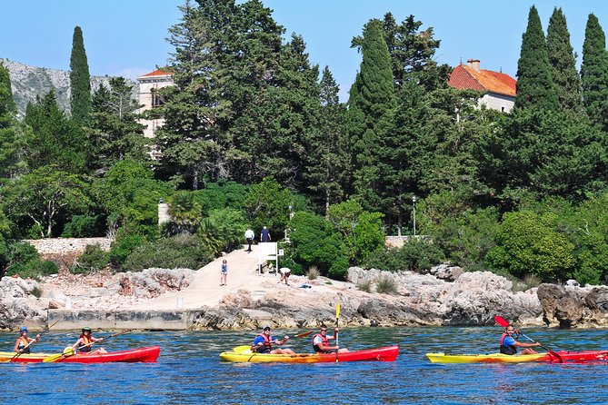 Dubrovnik: Sea Kayaking & Snorkeling Tour - Pricing and Value