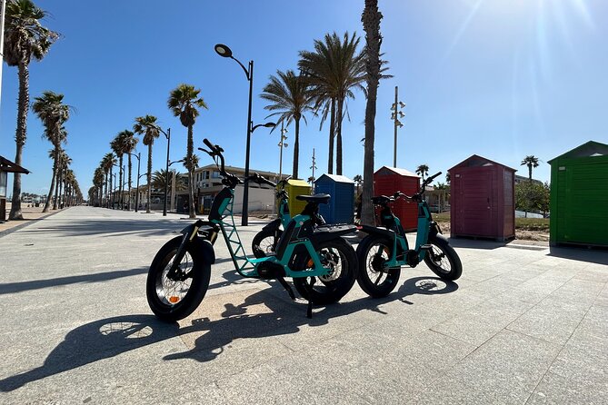 E-bike Tour: Beaches, & City of Arts and Sciences (From 30,00) - Practical Details and Considerations