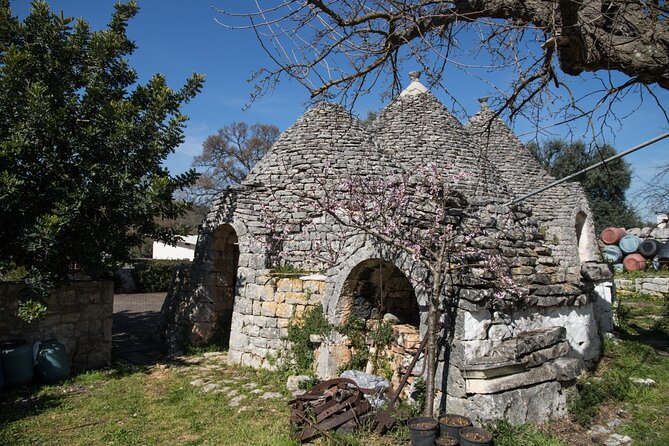 e-Bike tour in Locorotondo, oil mill visit and EVO oil tasting - Why This Tour Works