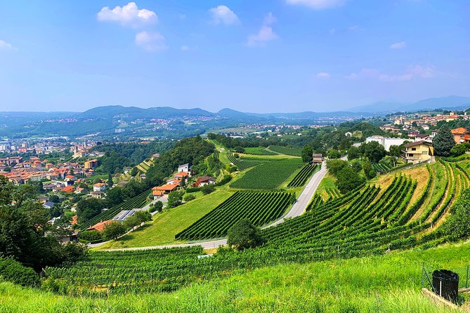 E-Bike Tour Lake Como and Swiss Vineyards - What We Love About This Tour