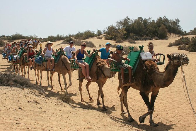 E-Bike Tour with Camel Safari through the Maspalomas Sand Dunes - Final Thoughts