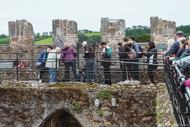 Easy Access Blarney Stone and Castle Gardens Tour - Blarney Castle & Gardens: The Heart of the Tour