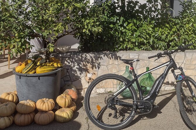 ebike tour: Authentic Itria Valley and local cuisine - Authenticity and Unique Experiences