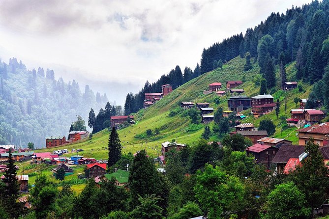 Enjoy Black Sea Boutique Tour - Authentic Experiences and What Travelers Say