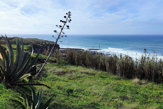 Ericeira Private Tour: 10 Tastings Food Tour - Authenticity and Quality of the Food and Drinks