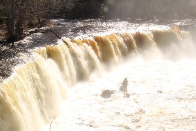 Estonian Seaside Tour - Value and Price