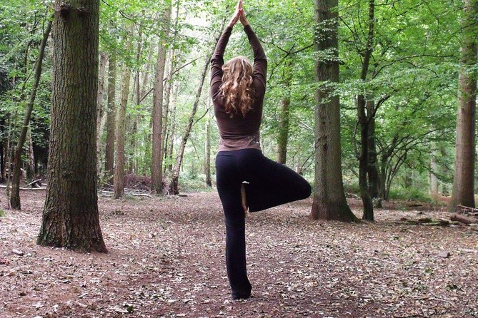 Etna Volcanic Yoga and Meditation - Private Experience - Value and Considerations