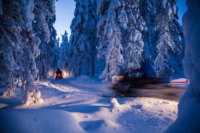 Evening Escape - Snowmobile safari and campfire in Rovaniemi - Who Is This Tour Best For?