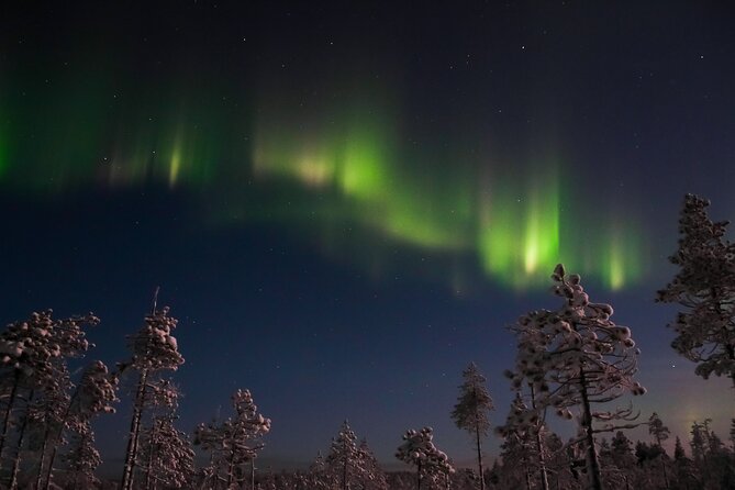Evening Snowmobile Safari with Campfire in Saariselkä - The Experience from the Reviews