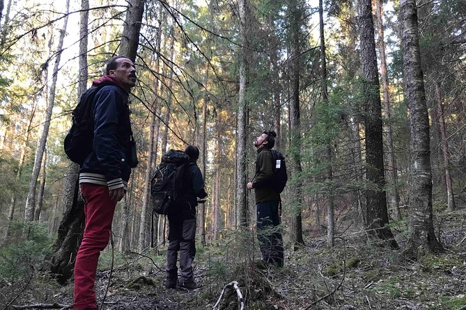 Evening Wildlife Safari with Campfire Dinner from Stockholm - Authentic Encounters and Review Highlights