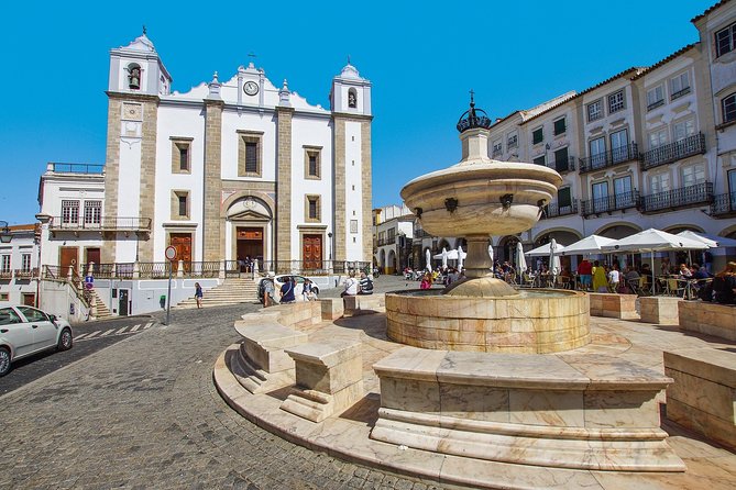 Évora Private Walking Tour with a Professional Guide - Who Will Benefit Most From This Tour?