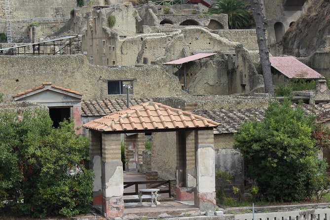 Excavations of Herculaneum. Tour guide and skip-the-line ticket - The Sum Up