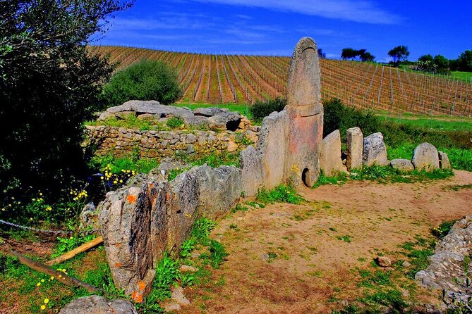 Exclusive Costa Smeralda Sightseeing Tour for 2/3 people - Value for Money
