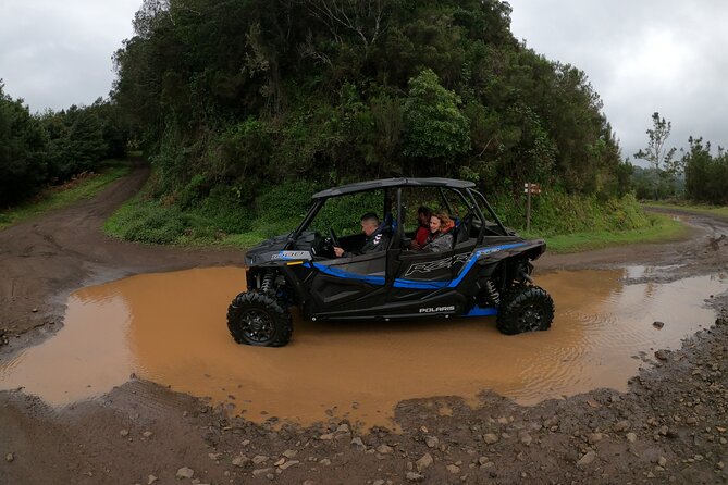 Exclusive Private Buggy Adventure: Forest and Mountains - The Value and Why It’s Worth It