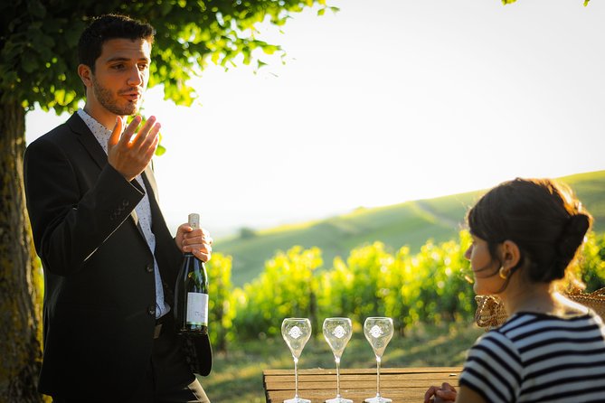 Excursion to the Champagne region and Wine Tasting - Who Should Consider This Tour?