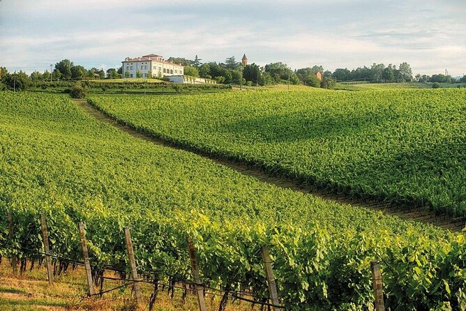 Experience Emilian Wines at Bologna Vineyard Vista - FAQs