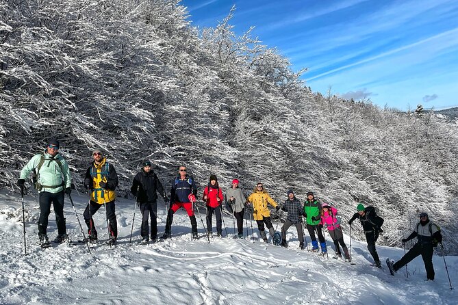 Experience Snowshoeing in Olympic Mountain Bjelanica - The Itinerary Breakdown