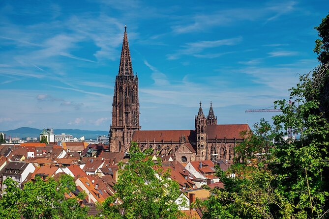 Explore Freiburgs Art and Culture with a Local - Practical Aspects