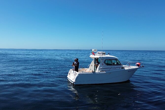 Explore Sesimbra Sports Fishing - How The Experience Feels According to Real Travelers