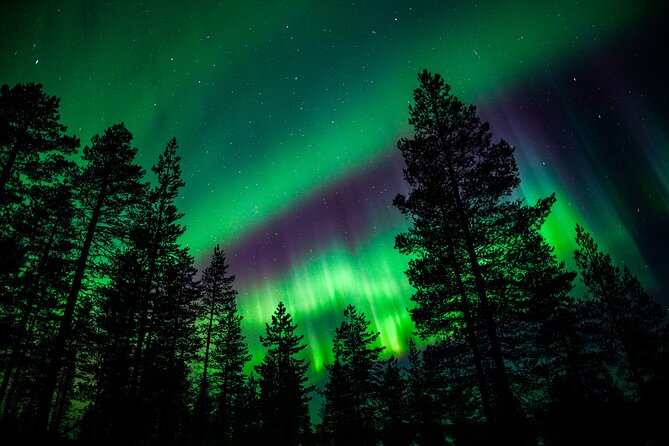 Family-Friendly: Northern Lights Adventure from Rovaniemi - FAQ