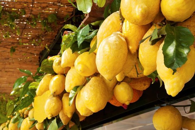 Farm-to-Table Experience: Olive Oil, Garden Tour & Nonnas Lunch - Transportation and Duration