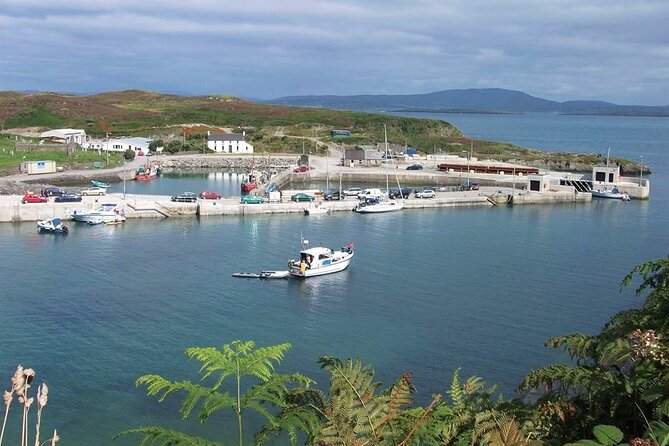 Fastnet Rock Lighthouse & Cape Clear Island Tour from Schull West Cork - FAQs