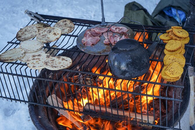 First Arctic Expedition on Altai Skis - The Sum Up