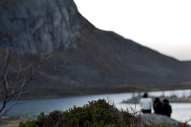 Fjord Expedition: Arctic Adventure Awaits - Who Will Love This Tour?