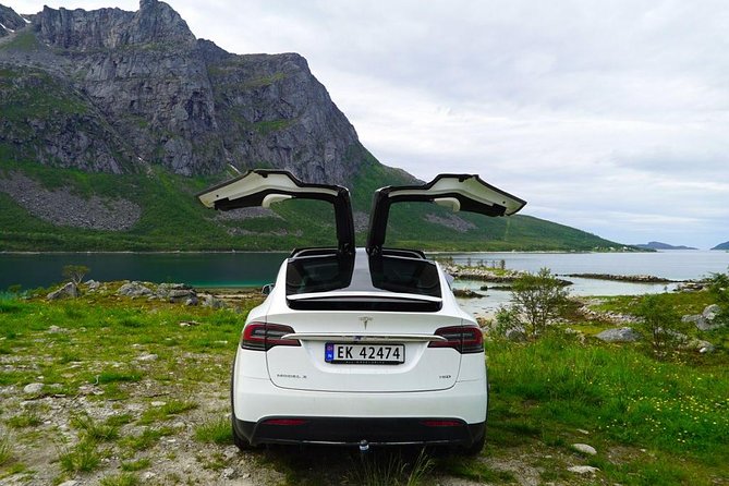 Fjord Sightseeing - Eco friendly Tesla Model X - The Comfort and Convenience