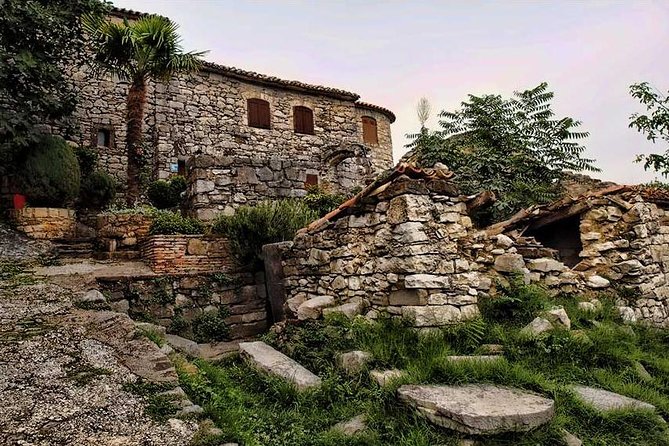 Flavours of Istria Tasting Experience from Koper - Who Should Consider This Tour?