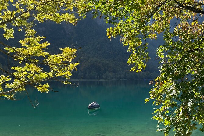 Flavours of Switzerland Luxury Private Tour from Zurich & Lucerne - Who Will Love This Tour?