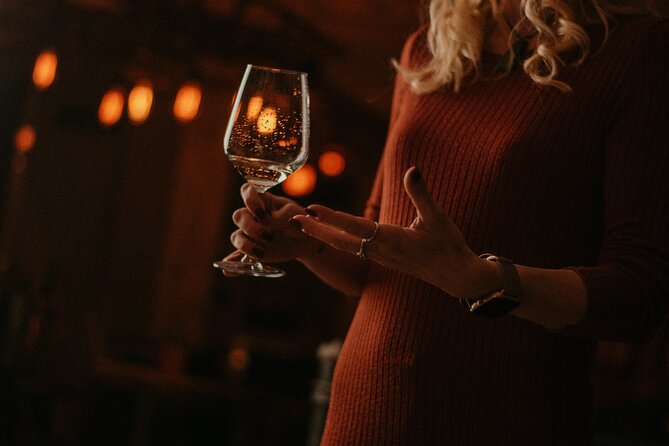 Food and Wine Tasting in Budapest City Center with Sommelier - Gourmet Bites and Atmosphere