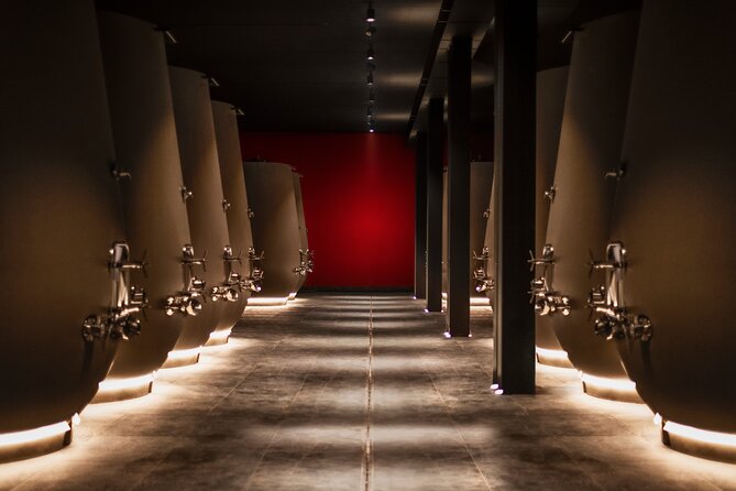 Food and Wine Tasting in Valpolicella - Inside the Cellar: Tradition Meets Innovation